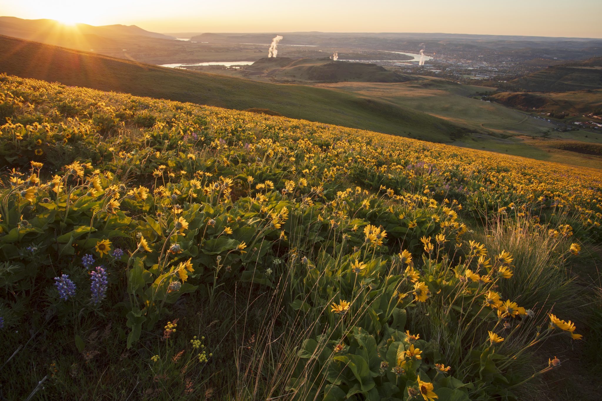 Accountability for Big Tech - Columbia Riverkeeper